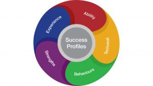 Success Profile Civil Service Interview Course | Interview Skills Clinic